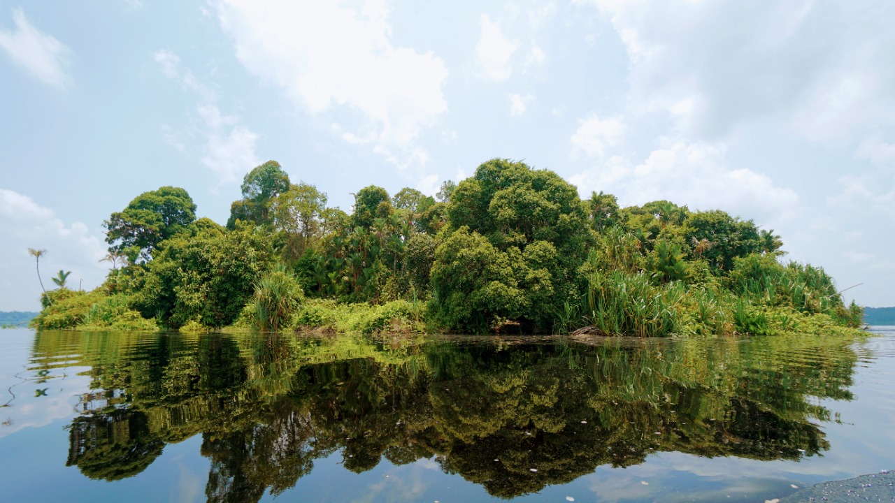 Driving good water stewardship at district level | ISEAL Alliance